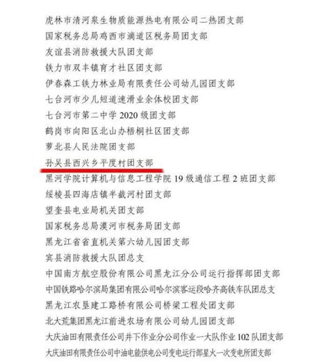 喜报孙吴县西兴乡平度村团支部荣获全省五四红旗团支部荣誉称号 腾讯新闻