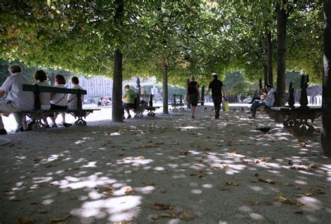 Trees In Paris Parks Paris In September