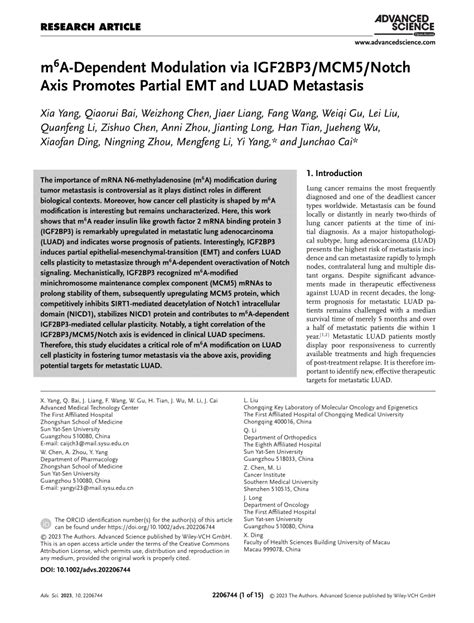 Pdf Ma‐dependent Modulation Via Igf2bp3 Mcm5 Notch Axis Promotes Partial Emt And Luad Metastasis