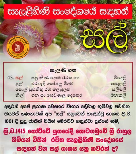 🔴සැලළිහිණි සංදේශයේ සඳහන් සල් හෙළබිම උපන් ගෝතම නම් හෙළ බුදුන්