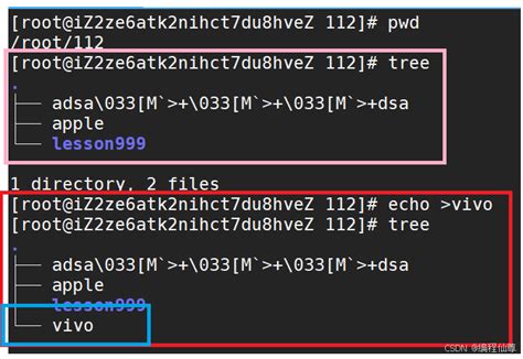 【linux第二弹】linux基础指令（中） Csdn博客
