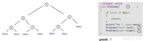 C学习（数据结构） ＞实现链式结构二叉树 Ew帮帮网