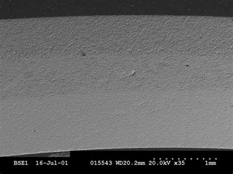 Sem Cross Section Of Varistor Bottom Interlayer B Ferrite B Download Scientific Diagram