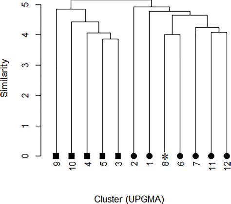 Cluster Analysis Using The Unweighted Pair Group Method With Download Scientific Diagram