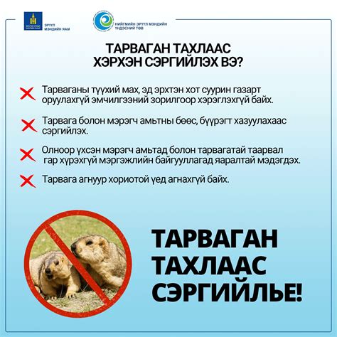 Өвөрхангай аймгийн Эрүүл Мэндийн Газар Салхинцэцэг өвчнөөс сэргийлье Салхин цэцэг нь цочмог