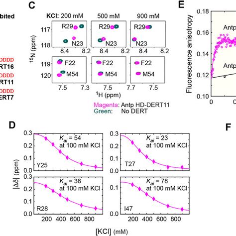 Examples Of De Repeats In Human Dna Binding Proteins Autoinhibition
