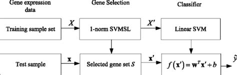 Classification Framework Based On 1 Norm Svmsl Download Scientific Diagram