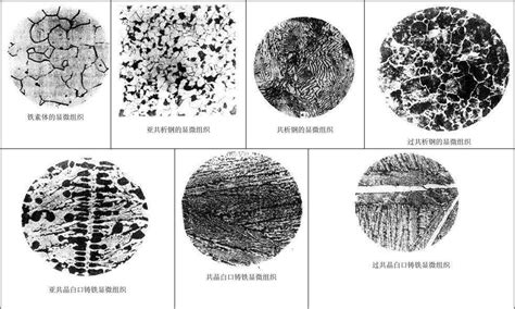 工业纯铁显微组织图 图库 五毛网