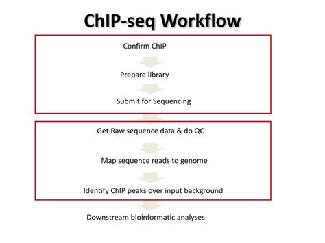 Ppt Chip Seq Data Analysis Powerpoint Presentation Id 2196101