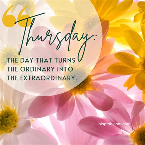 Happy Thursday