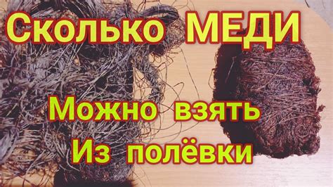МЕДЬ В ПОЛЁВКЕ,СКОЛЬКО МЕДИ В 2 КГ. ПОЛЁВКИ - YouTube