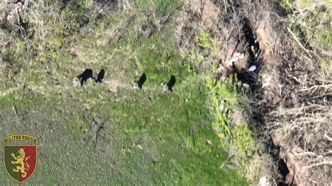 Mil Object Detection Dataset By Gleb