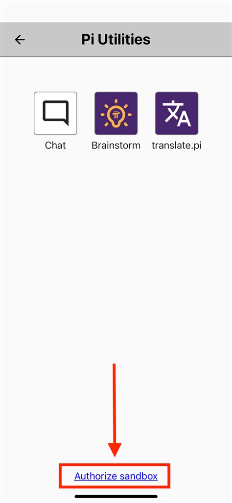 Pi App Platform Sdk Pi Developer Guide