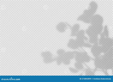 Shadow Plant Leaf Overlay Effect Flowers Leaves Light From The Window Leaves Shade Isolated