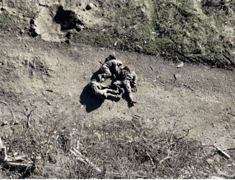 Fluffle Puff Fluffle Puff Wiki Fandom