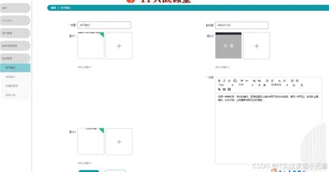 计算机毕设设计项目源码 Python基于爬虫实现数据可视化分析使用python实现完整的数据可视化系统或者软件源码 Csdn博客