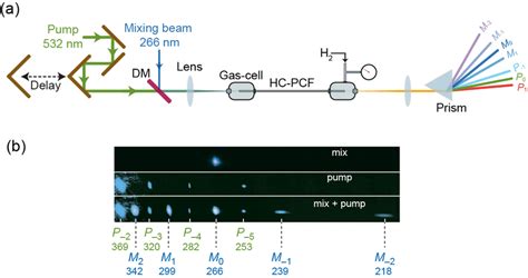 3 A Schematic Of The Experimental Setup Dm Dichroic Mirror B
