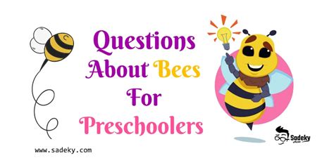 Questions About Bees For Preschoolers With Answers Sadeky