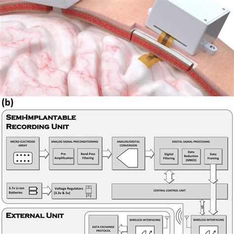 A Placement Of Both Versions Of The Microelectrode Array On The Download Scientific Diagram