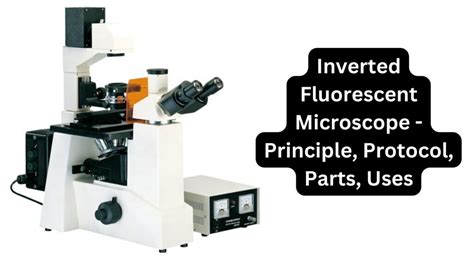 Inverted Microscope Principle Procedure Parts Uses Biology Notes Online