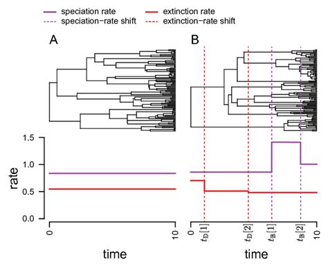 Revbayes Episodic Diversification Rate Estimation