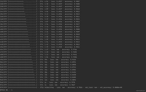 Keras进行训练loss出现nan，不知道问题出在哪里了kohya 训练loss Nan Csdn博客