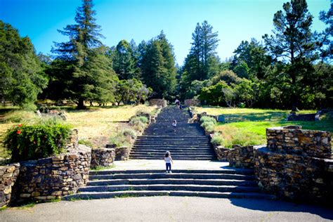 Joaquin Miller Park Has Some Of The Best Views And Lizards In East Bay