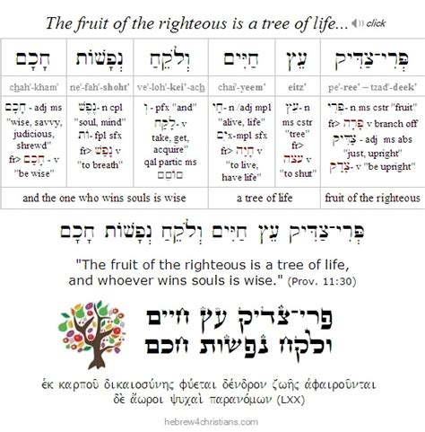 The Tree Of Life By John Parsons Hebrew For Christians