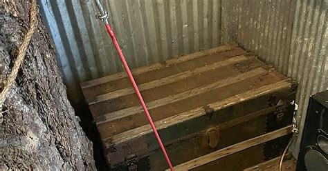 Treehouse Album On Imgur