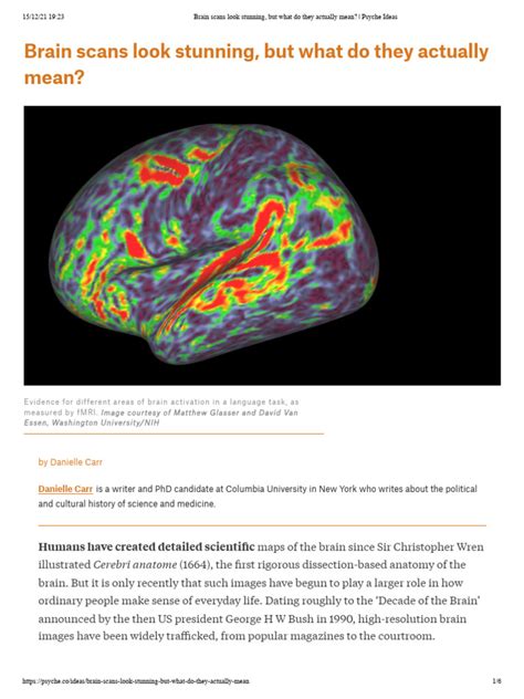 Brain Scans Look Stunning But What Do They Actually Mean Psyche Ideas Pdf Functional