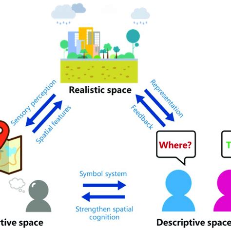 Different Stages Of Spatial Cognition Download Scientific Diagram