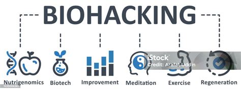 바이오 해킹 아이콘벡터 일러스트 레이 션입니다 바이오 해킹 영양 유전체학 생명 공학 개선 명상 운동 재생 인포 그래픽 서식 파일