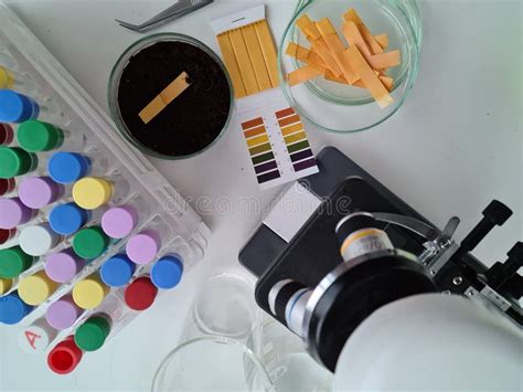 Small Glass Flask With Soil During PH Strip Test Stock Image Image Of Container Tool 268542481