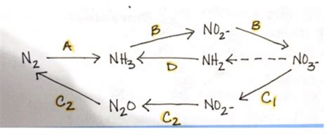 Lab Final Flashcards Quizlet Lab Final Flashcards Quizlet