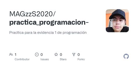 Github Magzzs Practica Programacion Practica Para La Evidencia De Programaci N