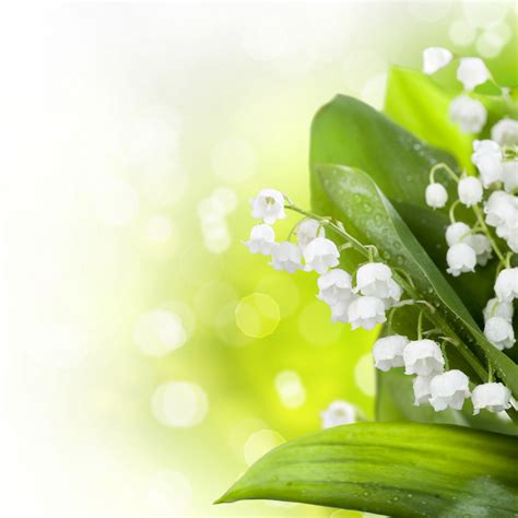 Поздравление с днем рождения весной 72 фото