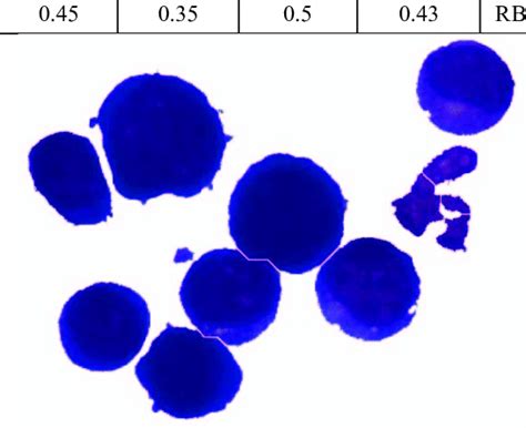 Segmented Cells With Original Rgb Pixels Download Scientific Diagram