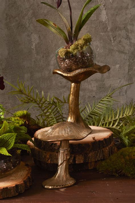 Lichen Planter Nest Home And Co