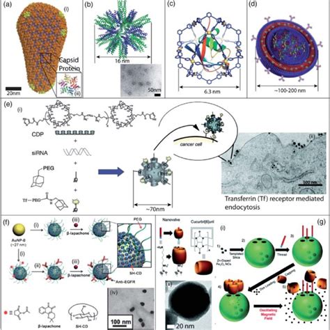 Pdf Supramolecular Self Assemblies As Functional Nanomaterials