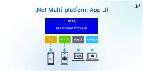 Introduction To Net Maui A Complete Beginners Guide