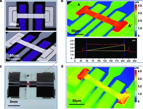 Illustrations Of Fabricated Flexible Rf Mems Switch For Download Scientific Diagram
