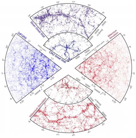 The Galaxy Distribution Obtained From Spectroscopic Redshift Surveys
