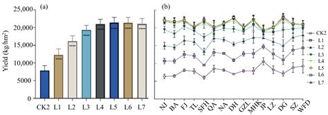 Impacts Of Multi Strategy Nitrogen Fertilizer Management On Potato Yield And Economic Gains In