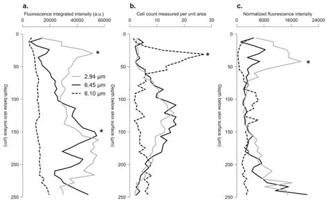Quantification Of Fluorescence Signal A Fluorescent Integrated Download Scientific Diagram
