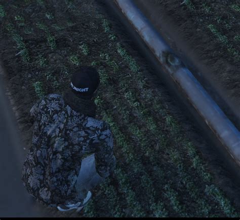 Suggestion Pickingselling Fruit · Issue 2571 · Inzidiuzop Framework Issue Tracker · Github