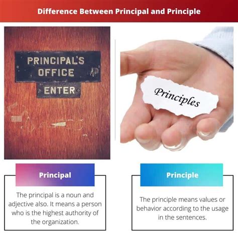 Principal Vs Principle Difference And Comparison