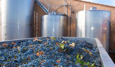 What Are The Two Main Types Of Fermentation