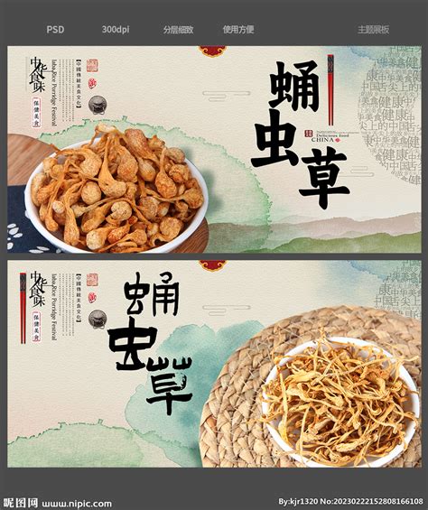 蛹虫草设计图 展板模板 广告设计 设计图库 昵图网
