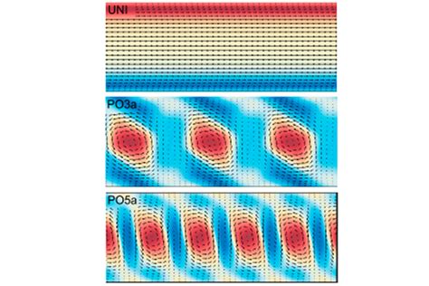 From Bacteria To Robot Swarms To Mixed Traffic Researchers Developing New Algorithms For