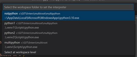 Terpreter Setting Doesnt Appear To Expand Workspacefolder